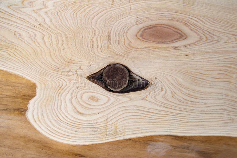 Texture of a Longitudinal Section of a Tree Trunk. Stock Image - Image ...