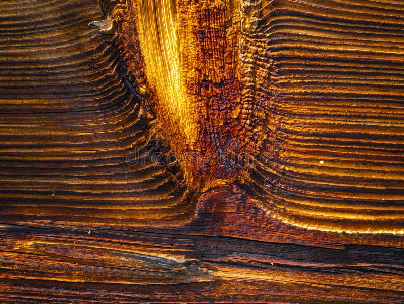 The Texture of the Longitudinal Section of Wood with Knots Stock Photo ...
