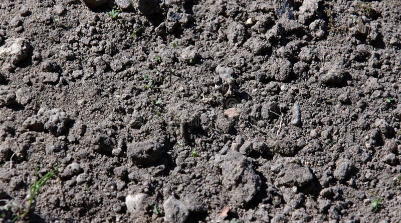 Texture of loose earth stock image. Image of land, earth - 42470511