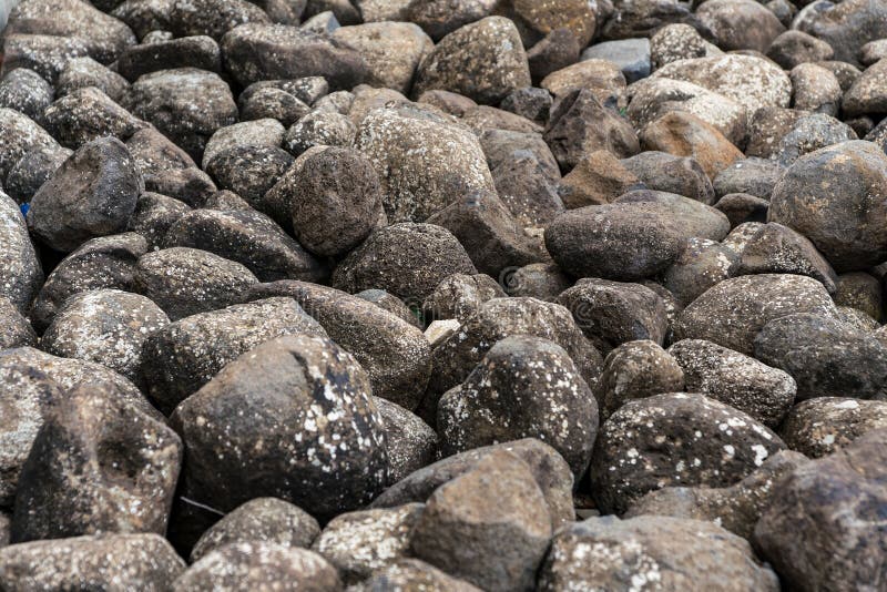 Texture of Lot of Large Natural Round Dark Gray Stone. Selective Focus ...
