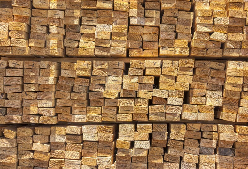Texture lumber stock photo. Image of square, lumber - 254063936