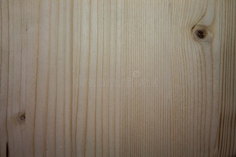 Spruce Wood Texture