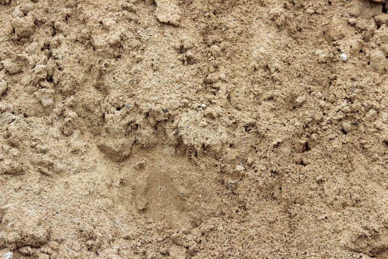 Texture of a Major Construction Sand Stock Photo - Image of building ...
