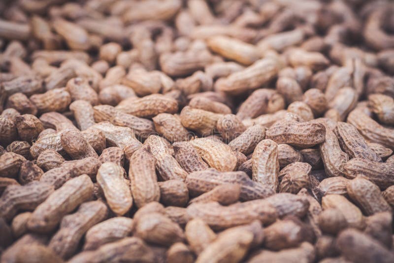 Peanuts are Dried in the Sun. Stock Image - Image of grains, pattern ...