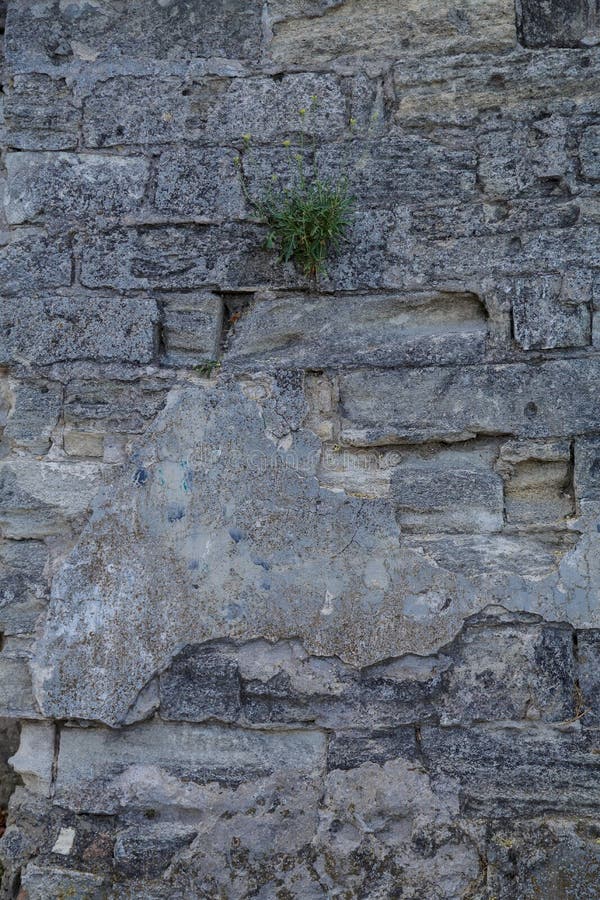 Texture. Masonry. Fragment of the Ancient Wall. Vertical. Stock Photo ...