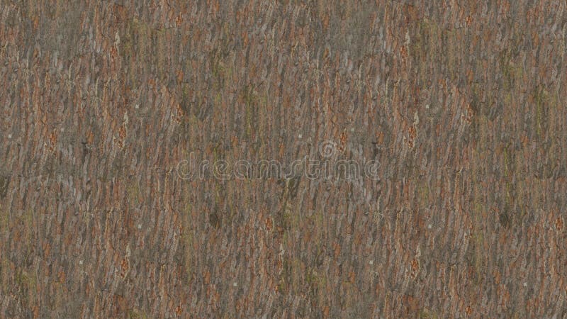 Texture Material Background Tree Bark 2 Stock Image - Image of ...