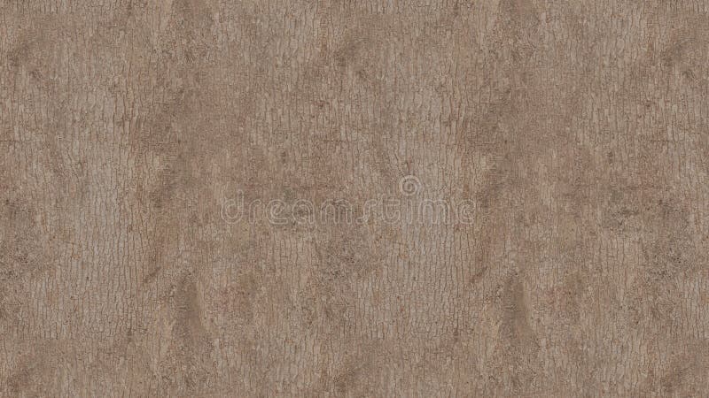 Texture Material Japanese Camphor Bark 1 Stock Image - Image of grain ...