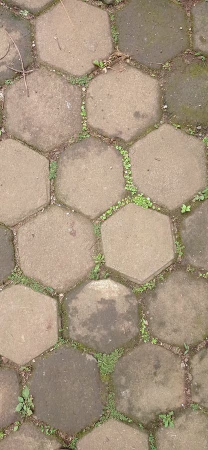 Texture Material Paving Block Stock Image - Image of soil, lawn: 241237457