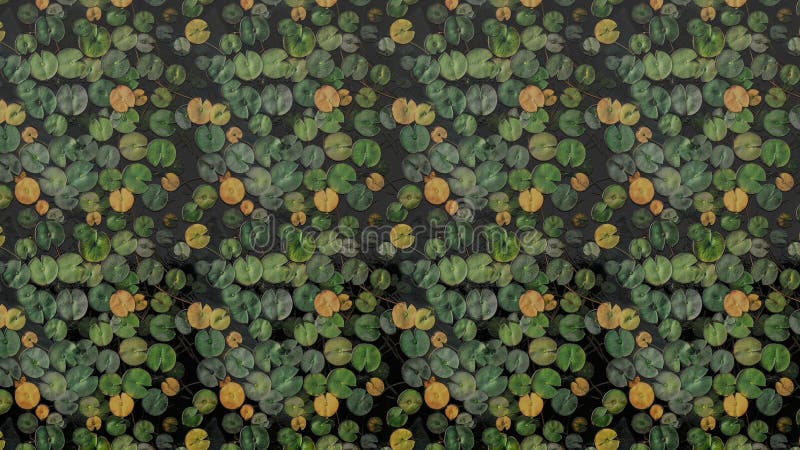 Texture Material Water Lilies 1 Stock Image - Image of wallpaper ...