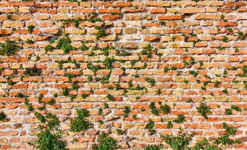 Texture of Medieval Masonry Stock Image - Image of rustic, brick: 223110081