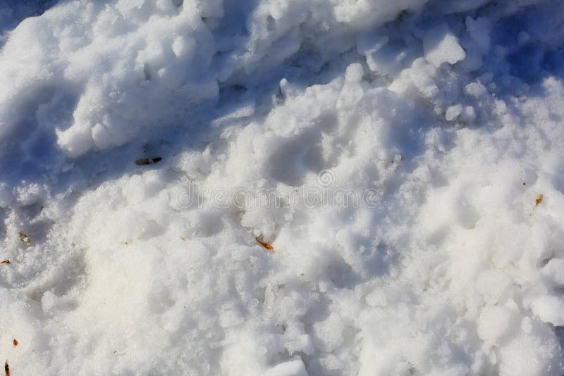 The Texture of the Melted Snow Stock Image - Image of melted, melting ...