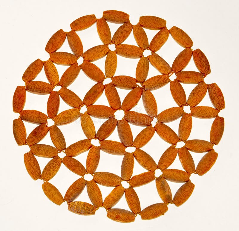 Mesh Wood Texture for Bacground Stock Photo - Image of bamboo, surface ...