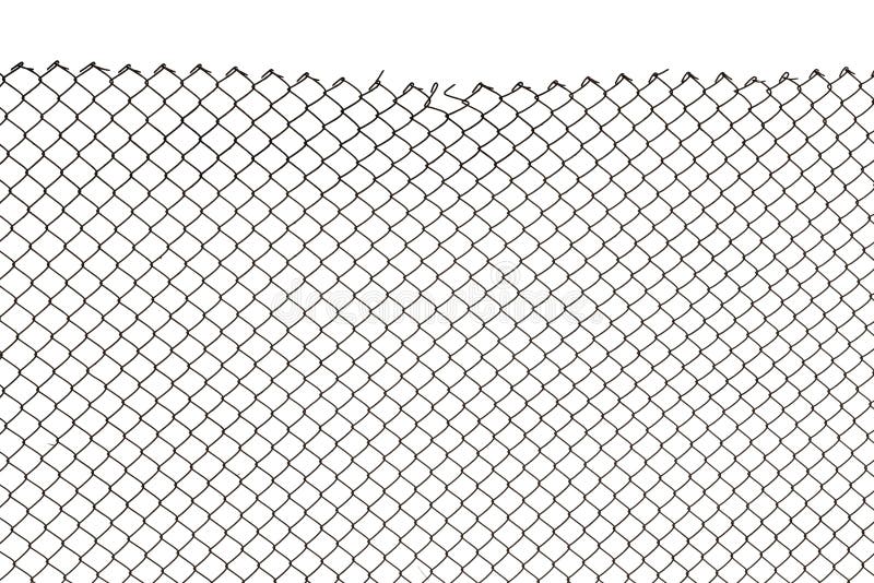 The Texture of the Metal Mesh on a White Background. Torn Steel, Metal ...