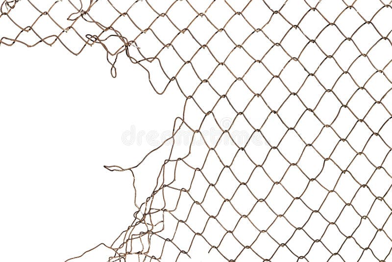 The Texture of the Metal Mesh on a White Background. Torn Steel, Metal ...