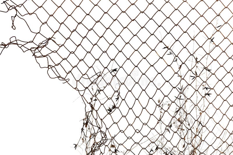 The Texture of the Metal Mesh on a White Background. Torn Steel, Metal ...