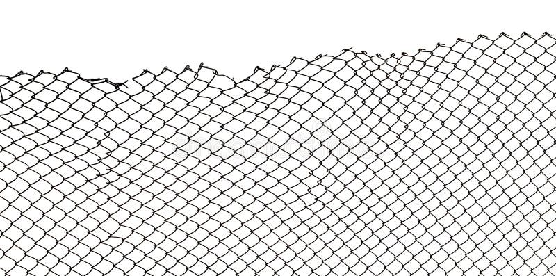 The Texture of the Metal Mesh on a White Background. Torn Steel, Metal ...