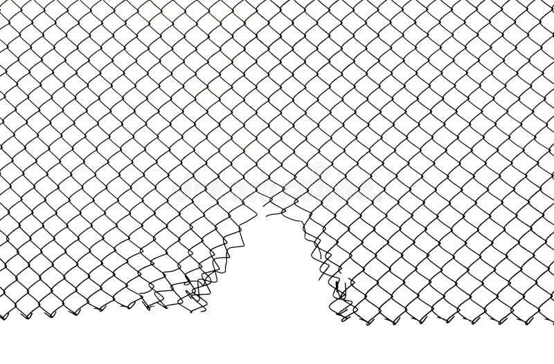 The Texture of the Metal Mesh on a White Background. Torn Steel, Metal ...