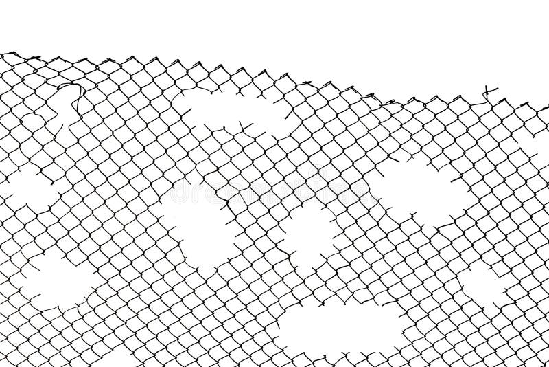 The Texture of the Metal Mesh on a White Background. Torn Steel, Metal ...