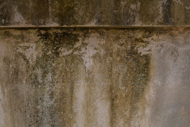 Texture Mildewed Walls Background Stock Photo - Image of blank, beige ...