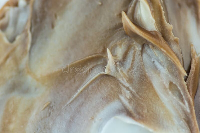 Texture of Milk-nut Paste, Close-up Shooting Stock Photo - Image of ...
