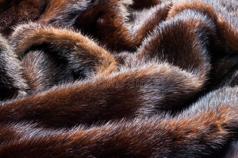 Texture. Mink fur stock image. Image of carpet, decorative - 122905235