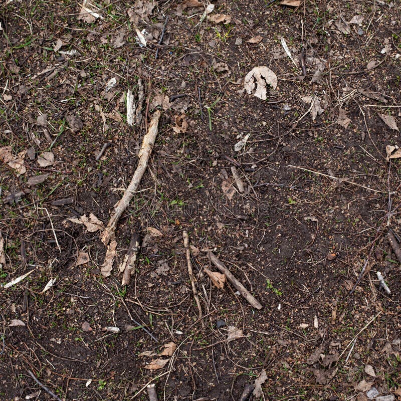 Texture of Moist Soil in Early Spring, Puddles and Mud, Early Grass ...