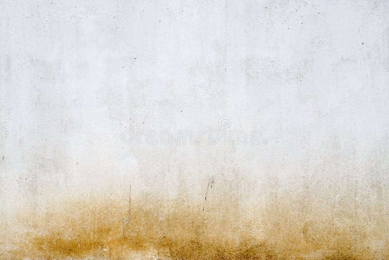 Texture of a mold wall. stock photo. Image of wall, gray - 84540328