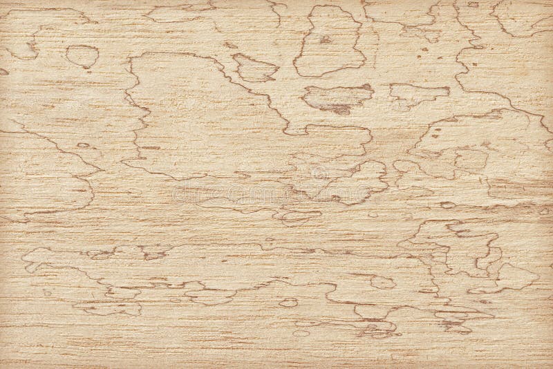 Texture of mold on wood stock image. Image of floor, grunge - 68802551