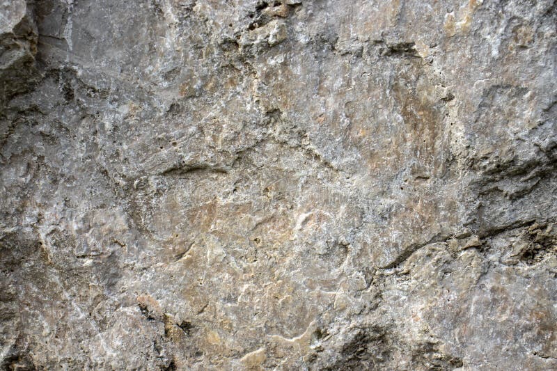 The Texture of the Old Vintage Masonry Stone with Plants in the Wall of ...
