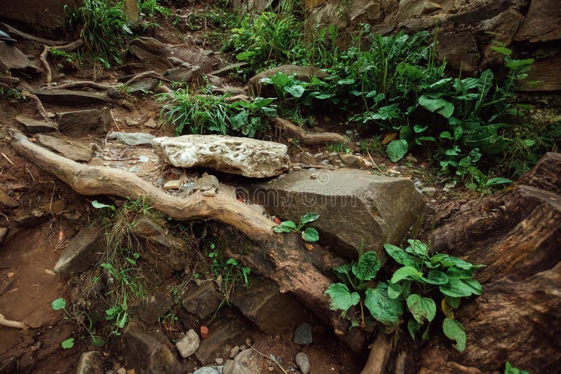 Texture Mountainside Close-up. Natural Background of Rocky Wall with ...
