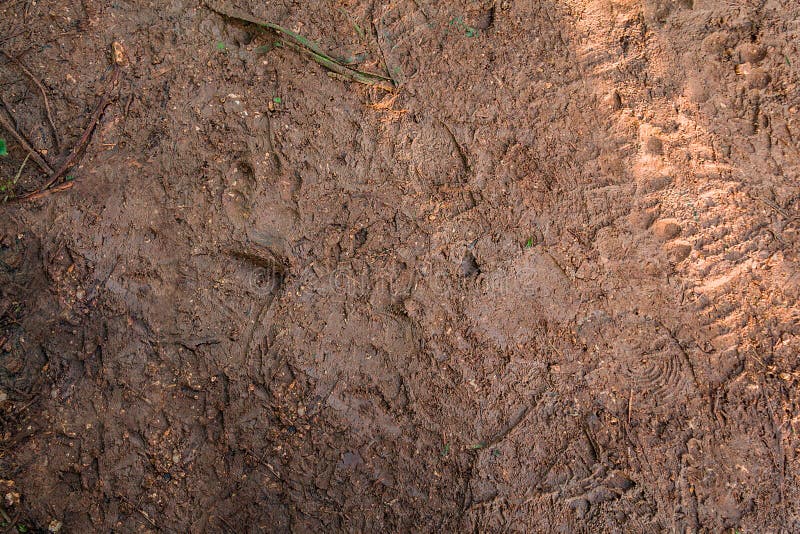 134 Many Human Shoe Footprints Stock Photos - Free & Royalty-Free Stock ...