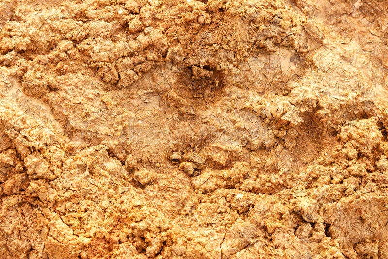 Texture of Mud or Frozen Soil Stock Photo - Image of brown, ground ...