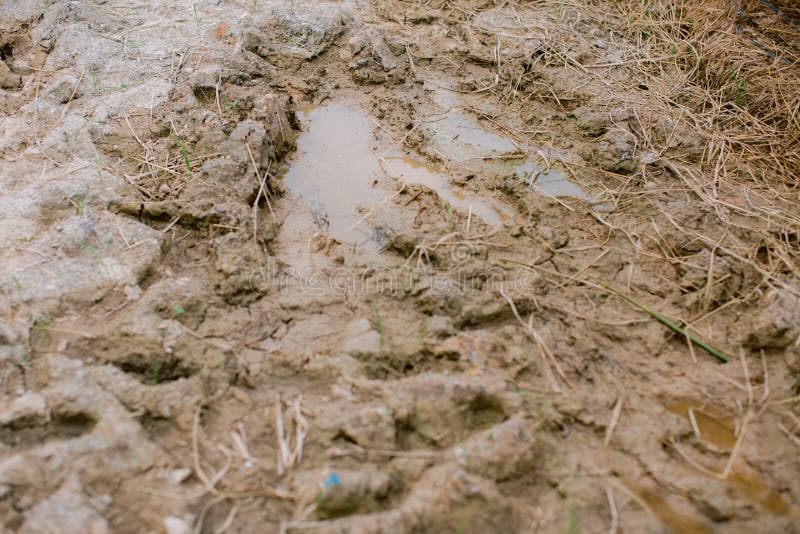 The Texture of the Mud or Wet Soil Stock Image - Image of organic, road ...