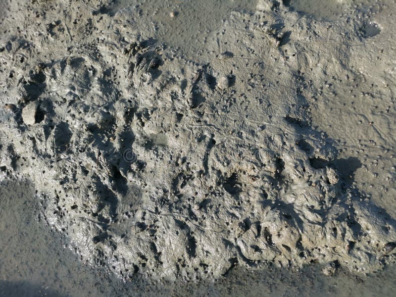 Texture of the Muddy Swamp Surface Stock Photo - Image of dirt ...
