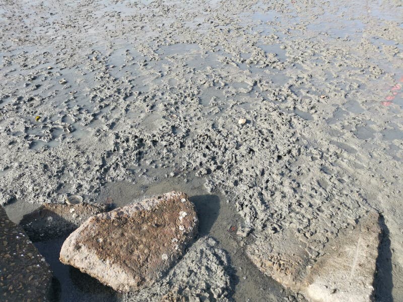 Texture of the Muddy Swamp Surface Stock Image - Image of marine, dirty ...
