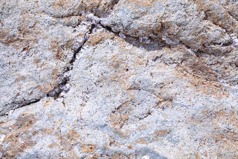 The Texture of Multicolored Granite Stock Image - Image of geology ...