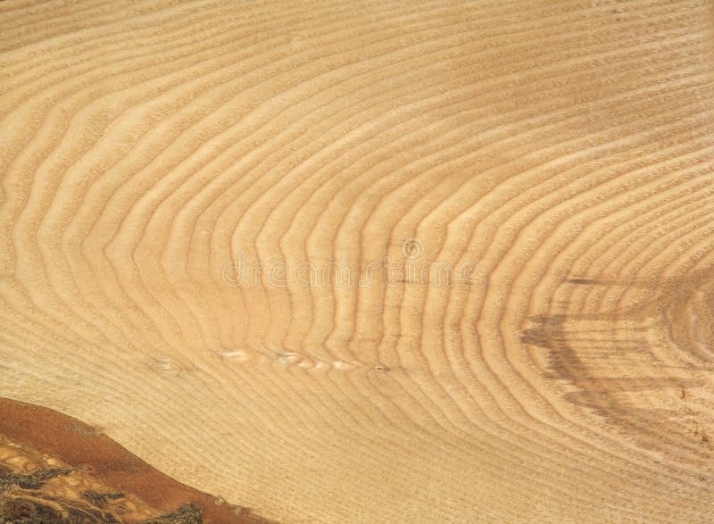The Texture of Natural Ash Wood with a Piece of Bark Stock Image ...