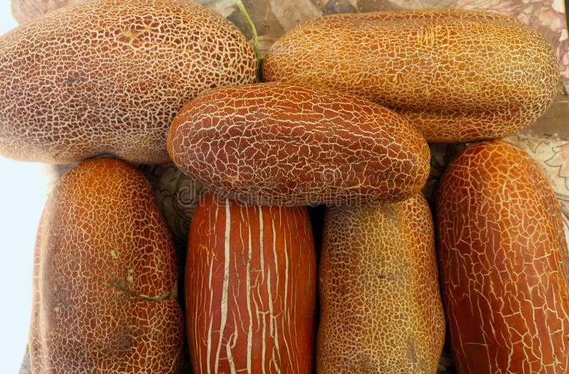 Texture Natural Background of Overripe Cucumber Peel Stock Photo ...