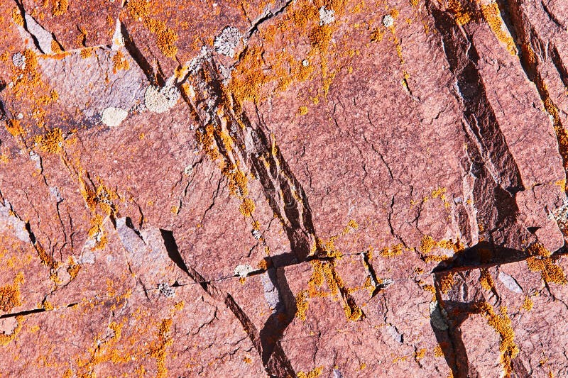 Texture of a Stone Rock Overgrown with Grass Stock Image - Image of ...