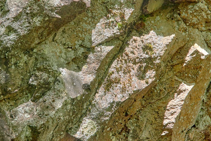 Texture of a Stone Rock Overgrown with Grass Stock Image - Image of ...