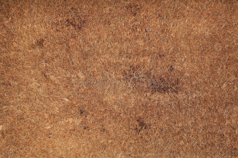 Texture of Natural Doormat Background. Brown Carpet Texture Made from ...