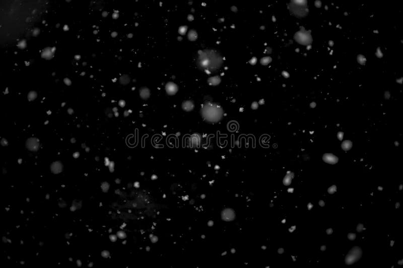 Texture of Natural Falling Snow on Black Background. Stock Photo ...
