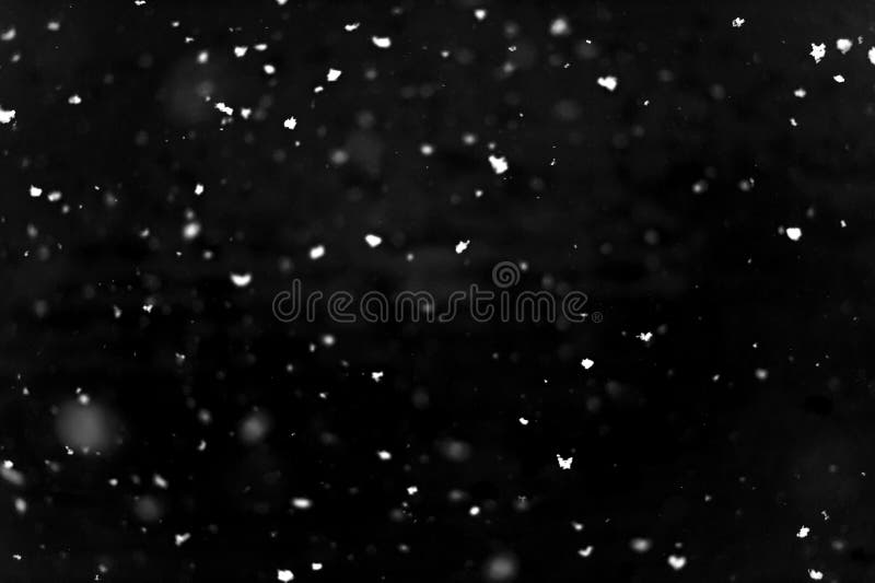 Texture of Natural Falling Snow on Black Background. Stock Image ...