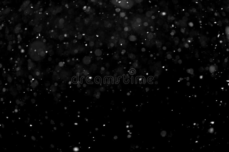 Texture of Natural Falling Snow on Black Background. Stock Photo ...