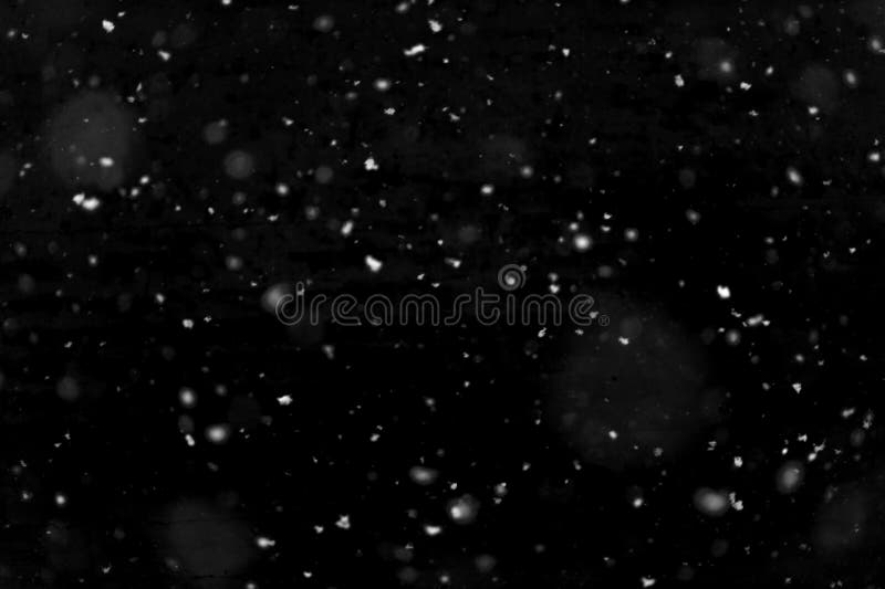 Texture of Natural Falling Snow on Black Background. Stock Image ...