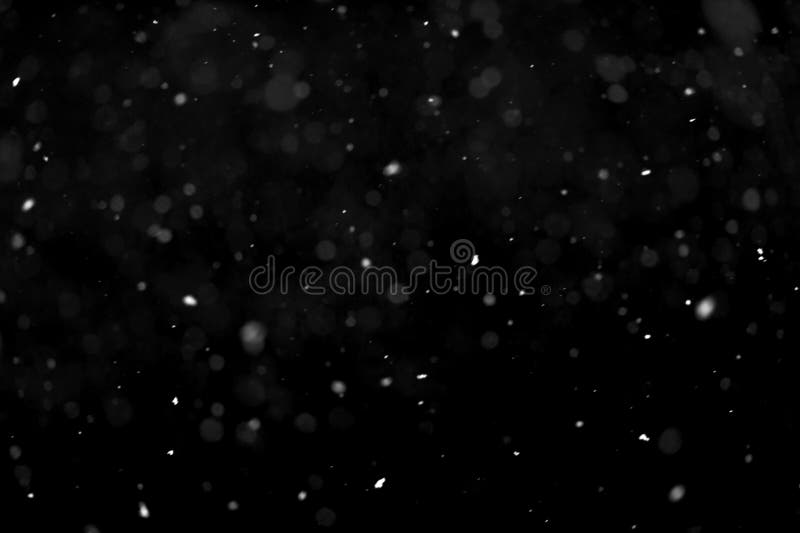 Texture of Natural Falling Snow on Black Background. Stock Photo ...