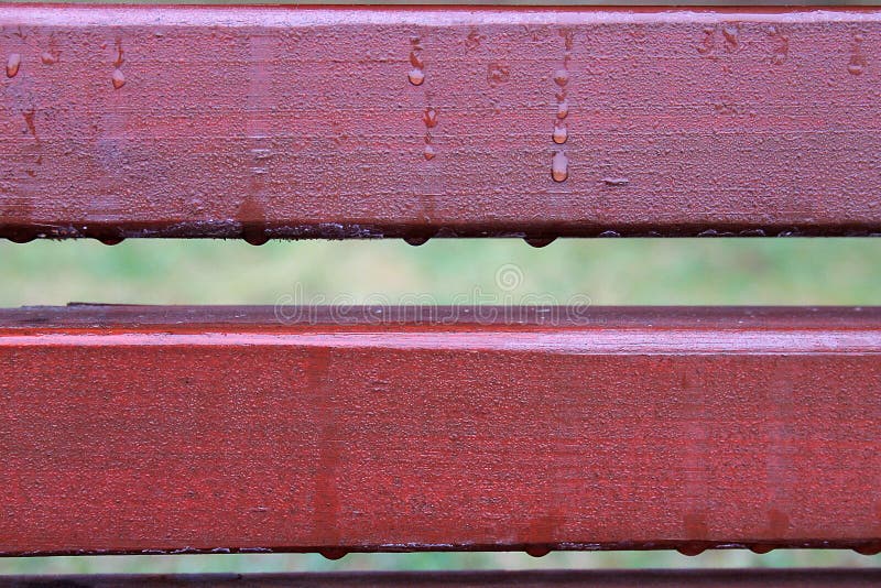 Natural Background In Daylight, Lively And Natural Texture Stock Photo ...