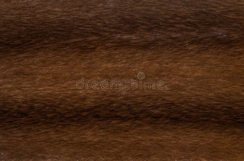 The Texture of Natural Fur Mink Stock Image - Image of natural, panel ...