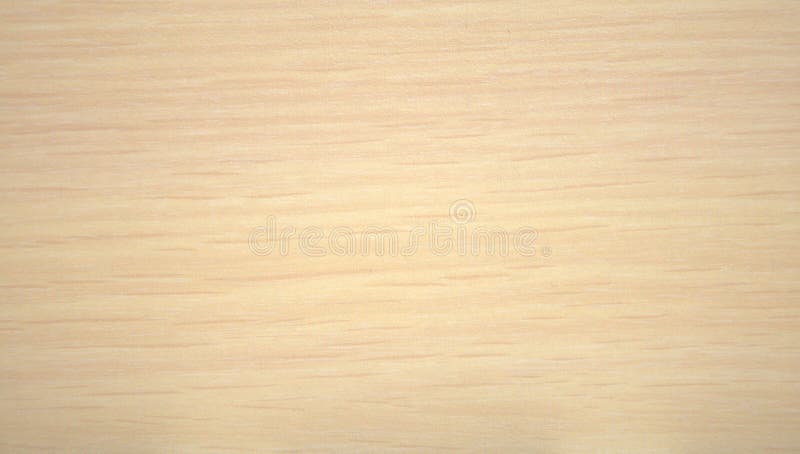 The Texture of Natural Light Wood on a Slice Closeup. Background. Close ...