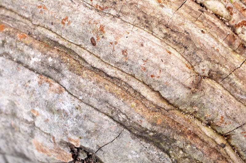 Texture Natural Material and Stock Photo - Image of design, floor ...